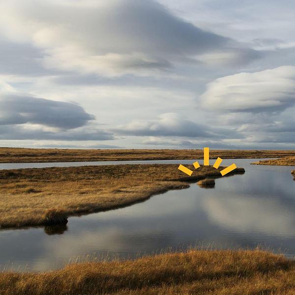 Award-winning peatland IoT project to continue following successful ...